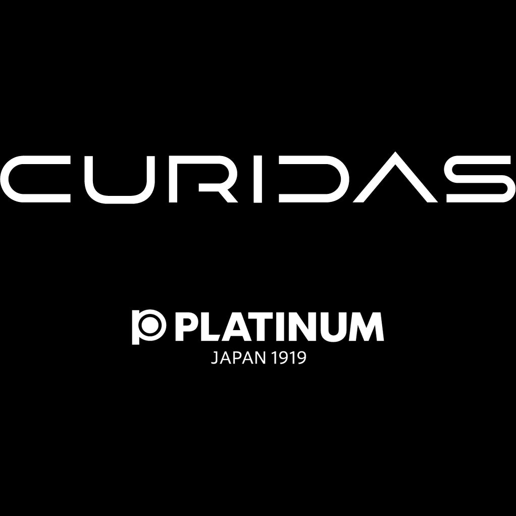 Platinum Curidas Fountain Pen