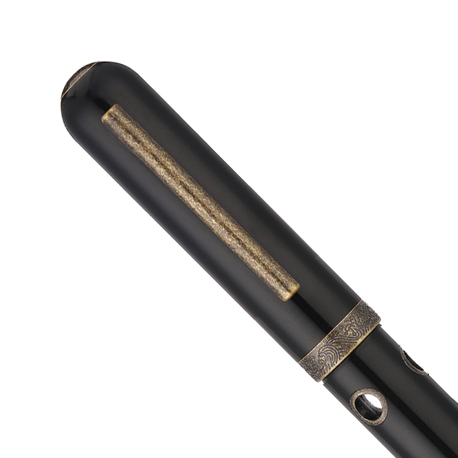 Nahvalur Nautilus Bronze Corydoras GT Fountain Pen