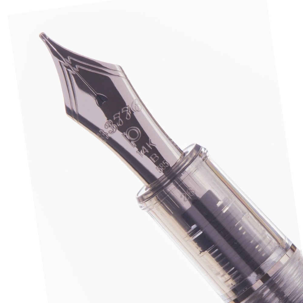 Platinum #3776 Century Nice Pur Fountain Pen