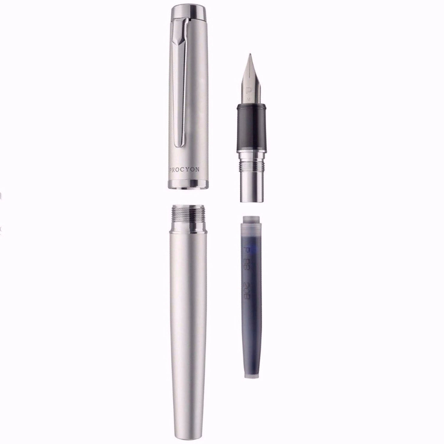 Platinum Procyon Luster Stain Silver CT Fountain Pen