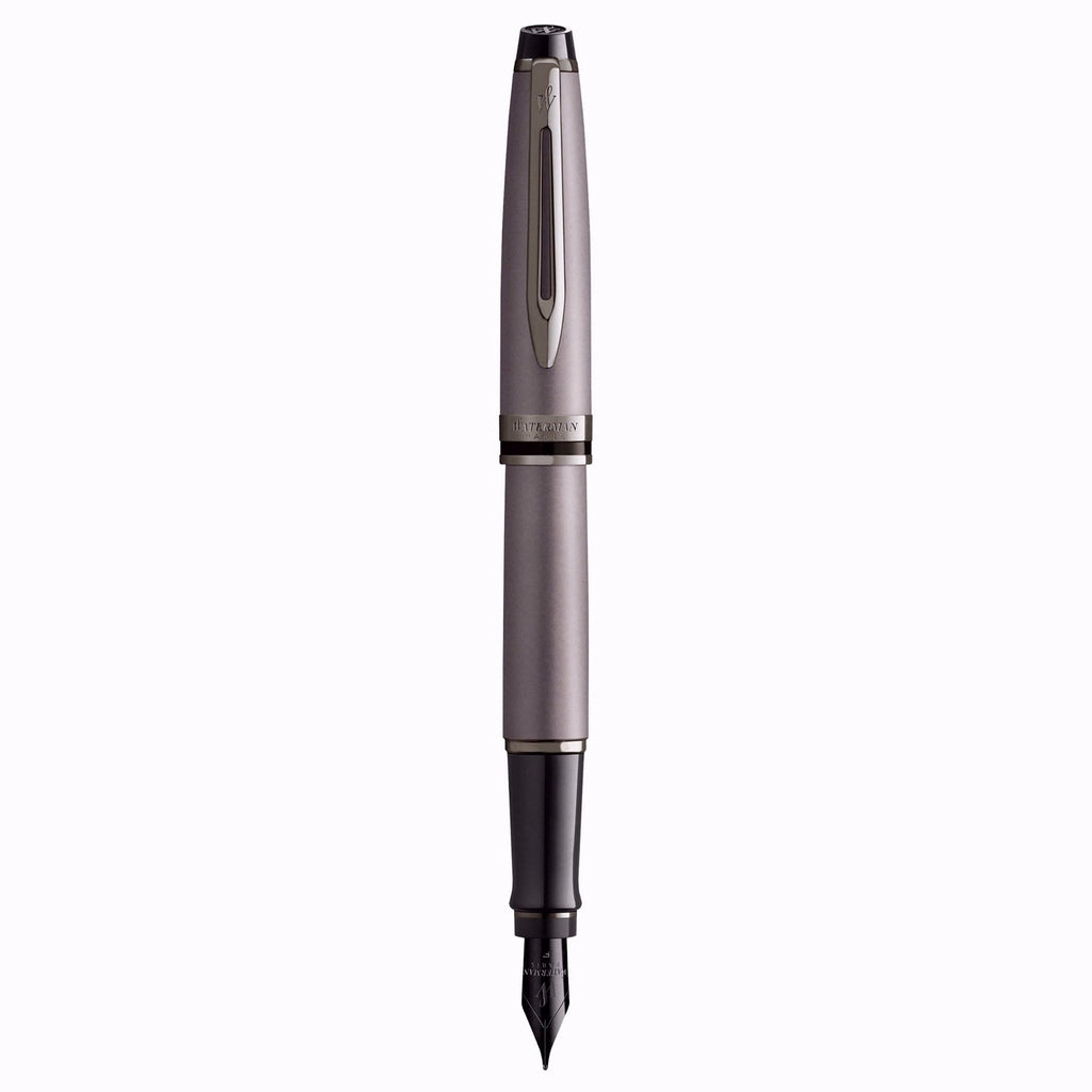Waterman Expert Metallic Silver RT Fountain Pen